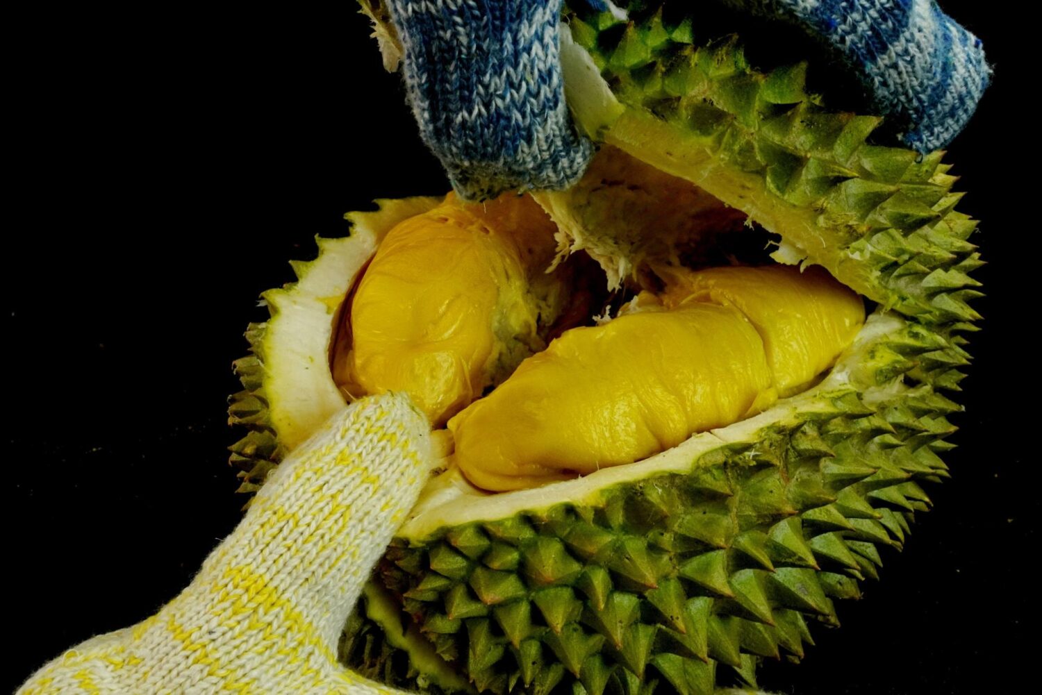 Singapore's Durian Buying Guide - From Mao Shan Wang to Red Prawn