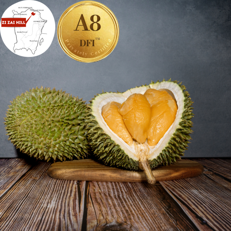 A8 Penang Kun Bao Durian (D164), Zi Zai Hill (800g) - Durian Delivery ...