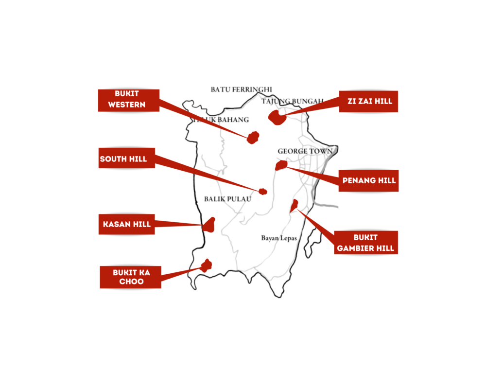 penang1 - Durian Delivery Singapore